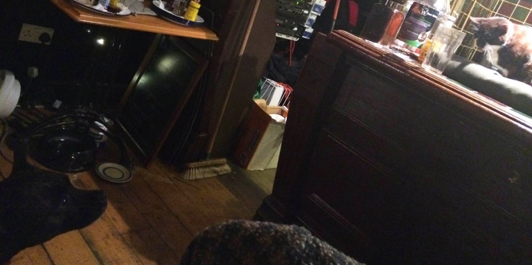 Simply Not Cricket (Or An Egg) - Croydonist