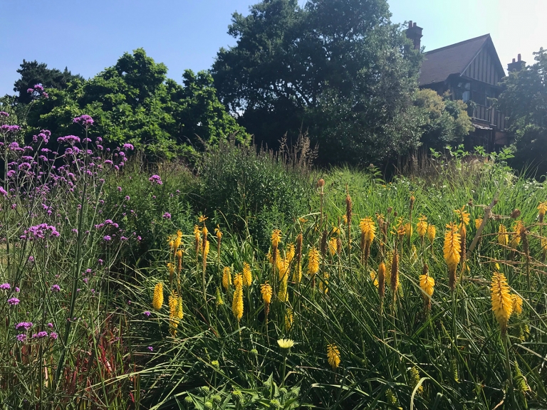 Coombe Wood – a series of ornamental gardens and woodland walk